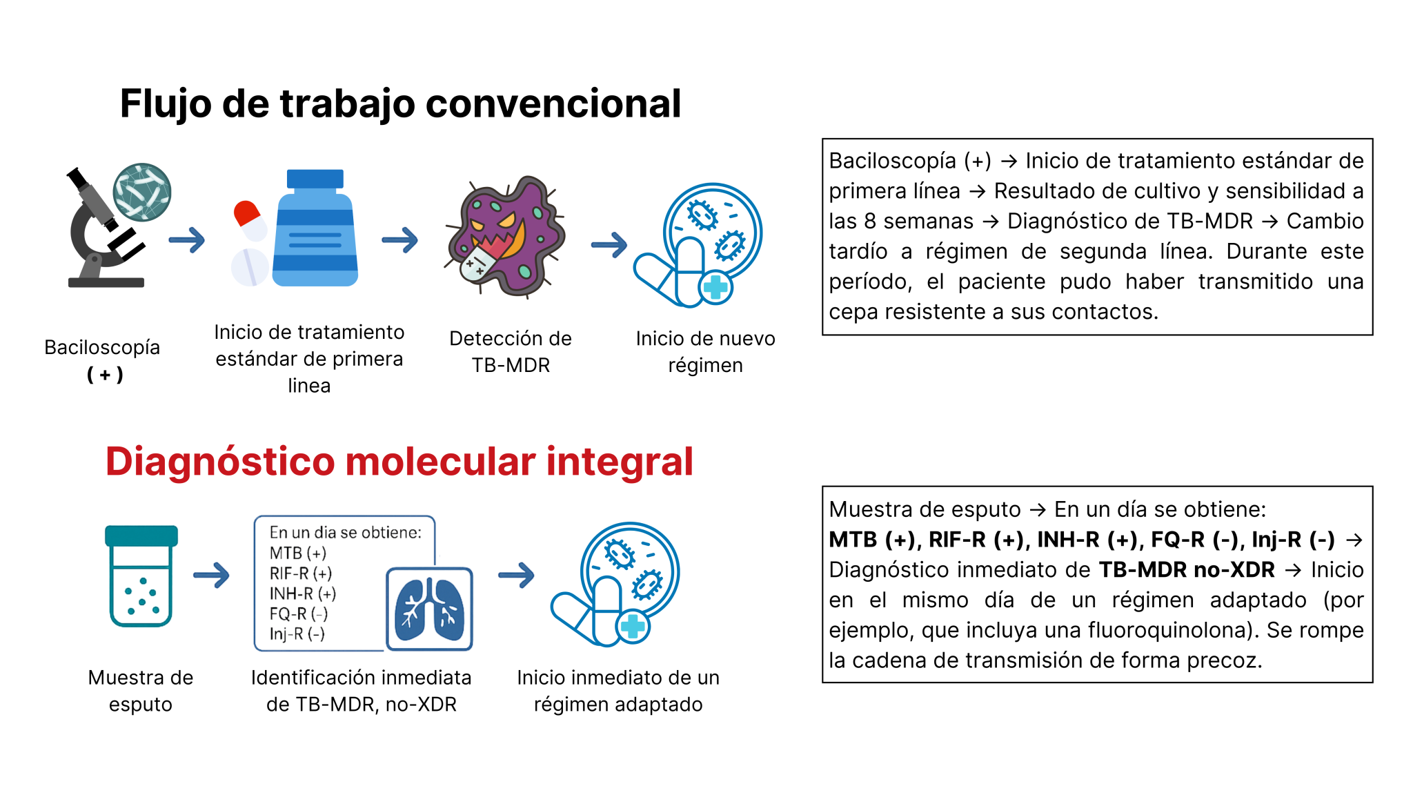 Diagnóstico molecular de tuberculosis | Seegene