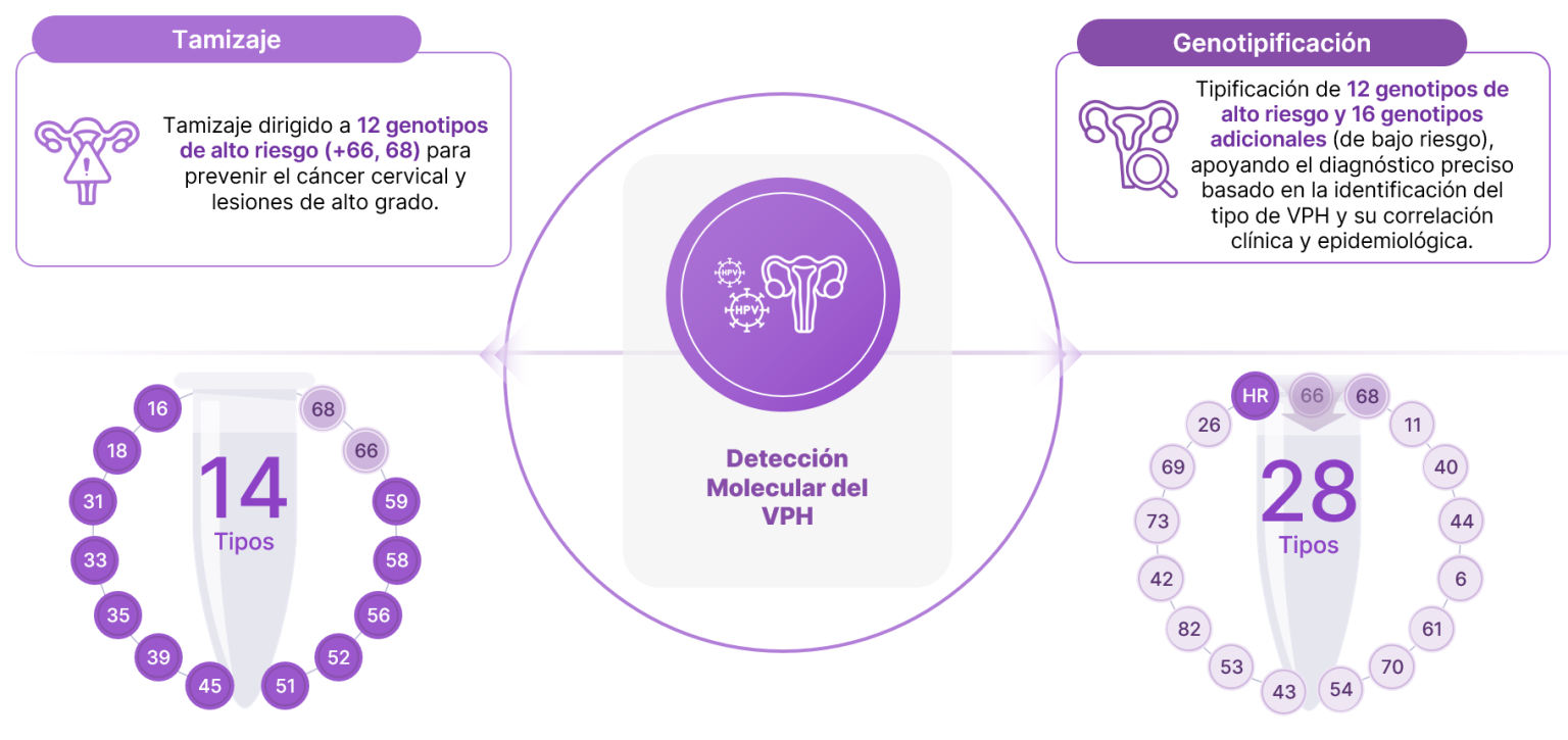 Cáncer cervical: ciencia, prevención y salud de la mujer